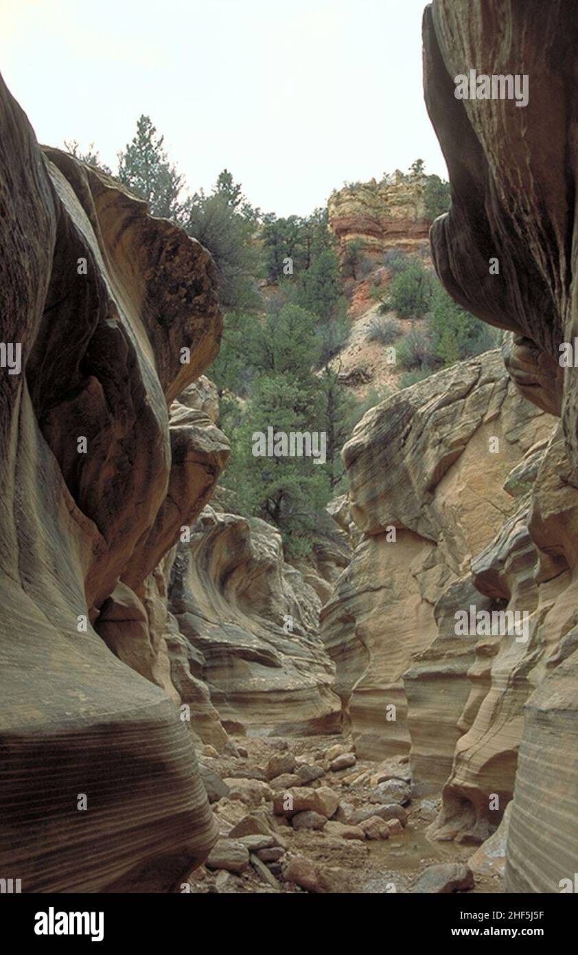 Scenic Byway 12 - A Jumble of Rocks in Willis Canyon Stock Photo - Alamy