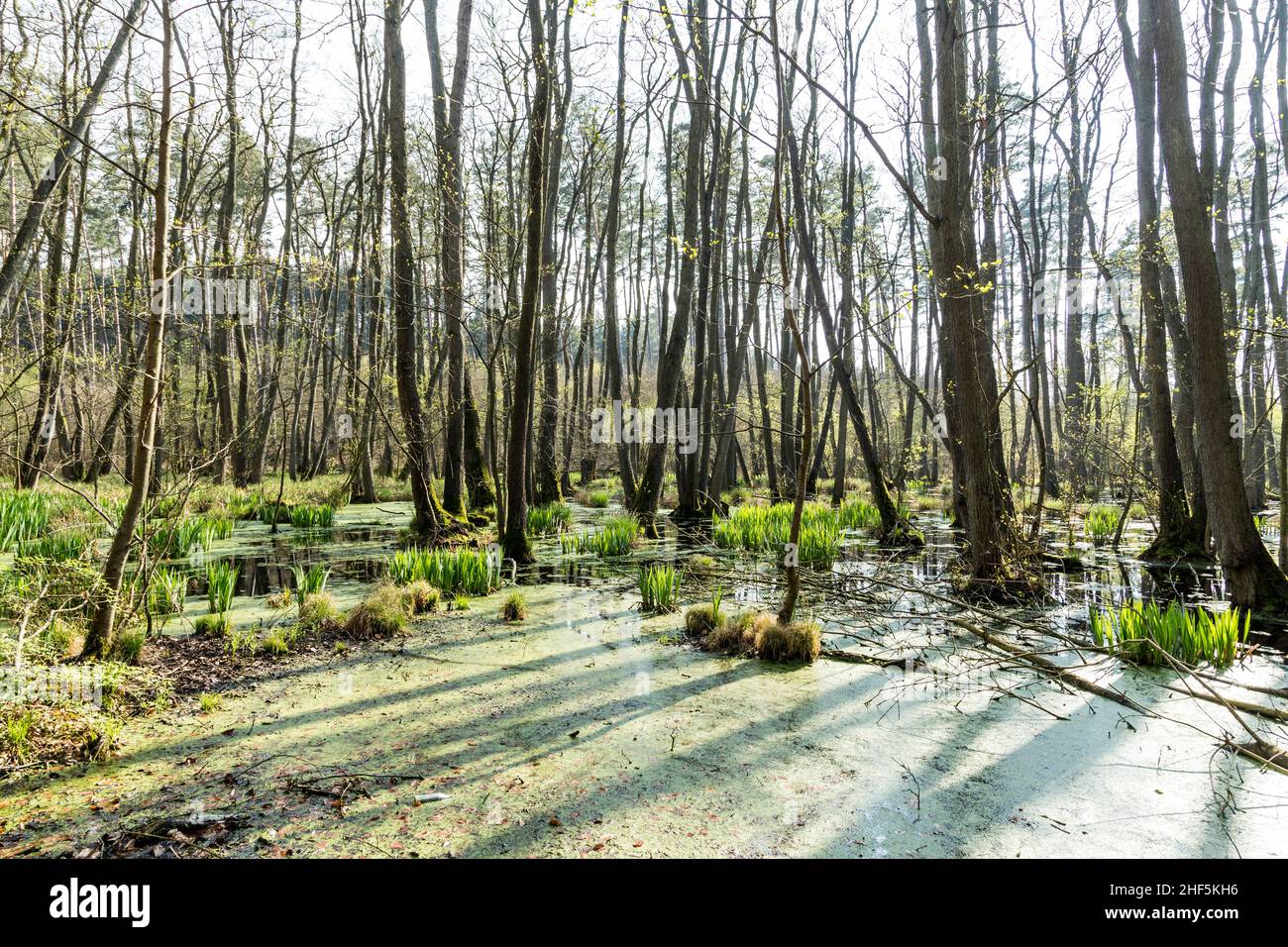 Amber spas hi-res stock photography and images - Alamy