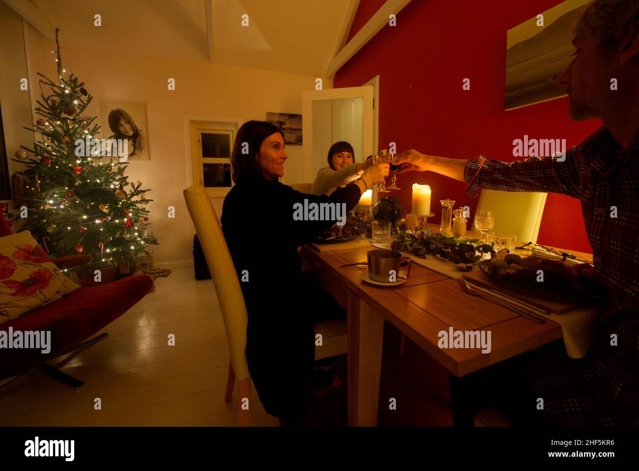 Family raising a glass at Christmas Stock Photo - Alamy