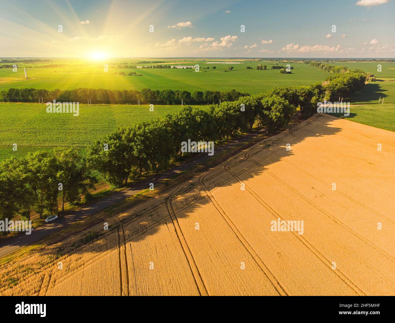 Wheat field from a height, top view, photographed by drone Stock Photo ...