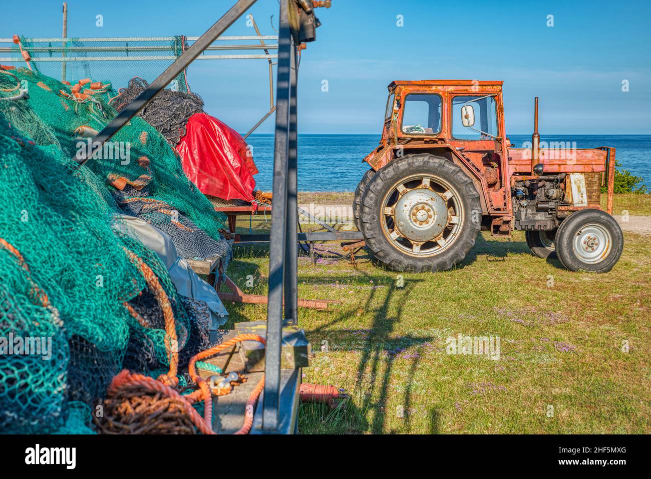 Stagnate water hi-res stock photography and images - Alamy