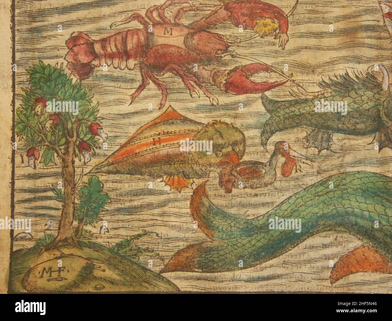 Sea monsters (1600) lower left Stock Photo - Alamy