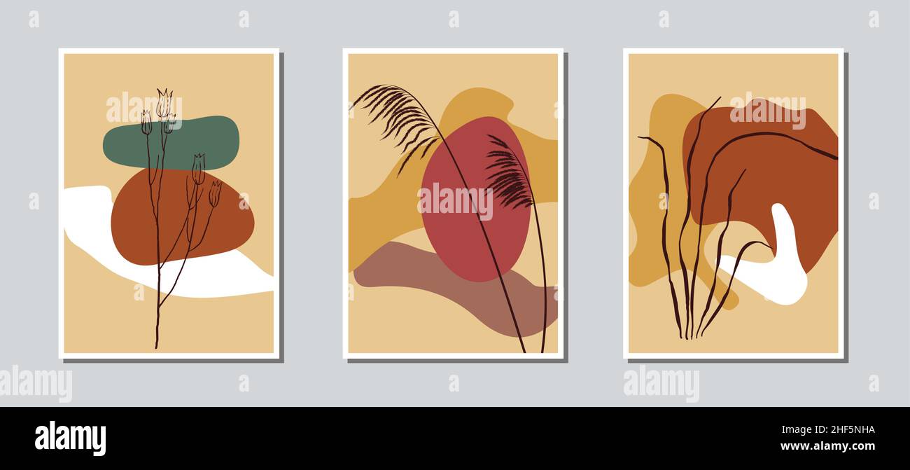 Modern abstract organic shapes and plant arrangements, set of cards or ...