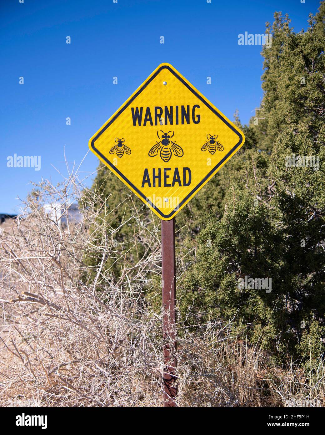 San Bernardino County, CA, USA - January 5, 2022: Wild bee warning sign ...