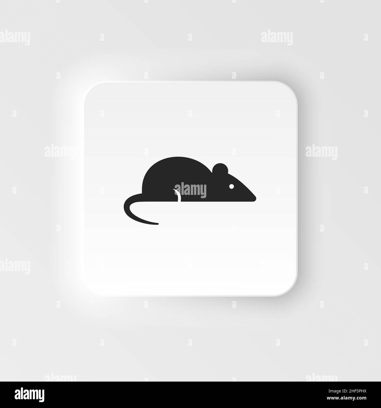 Rat laboratory hi-res stock photography and images - Alamy