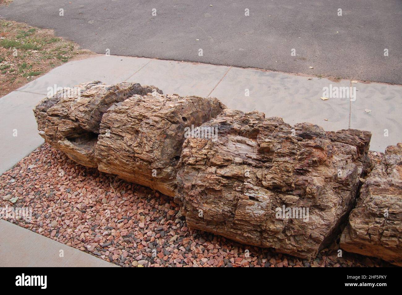 Scenic Byway 12 - Petrified Log at Escalante State Park Stock Photo - Alamy