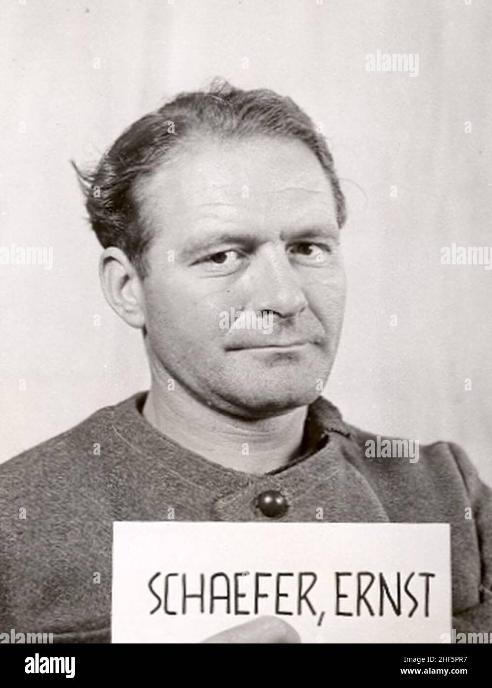 Ernst schaefer hi-res stock photography and images - Alamy