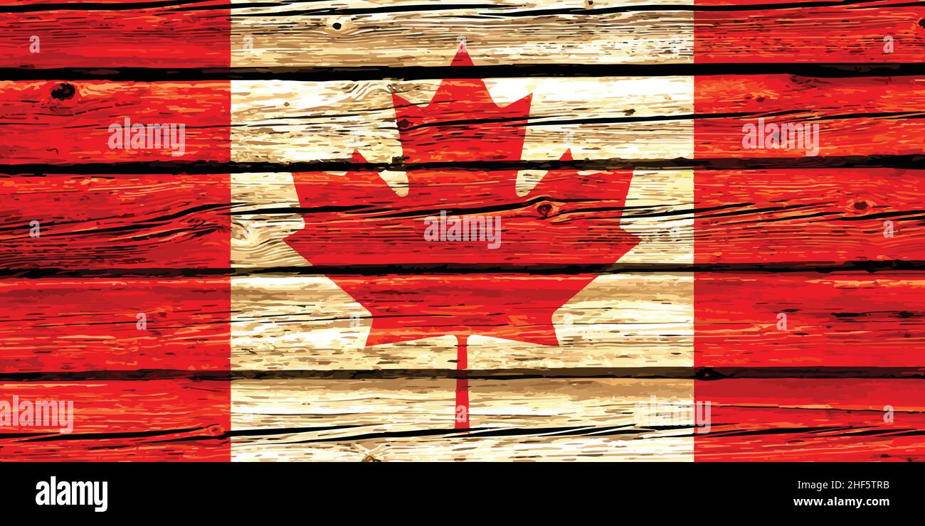Accurate canada canadian flag on old rustic timber wood wall vector ...