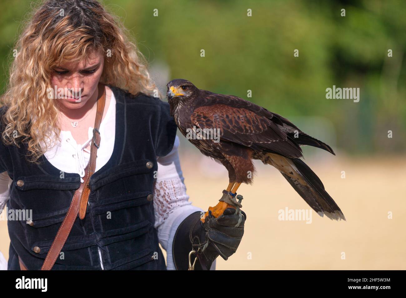 Luzarches, France - October 12 2019: Falconer with her falcon during ...