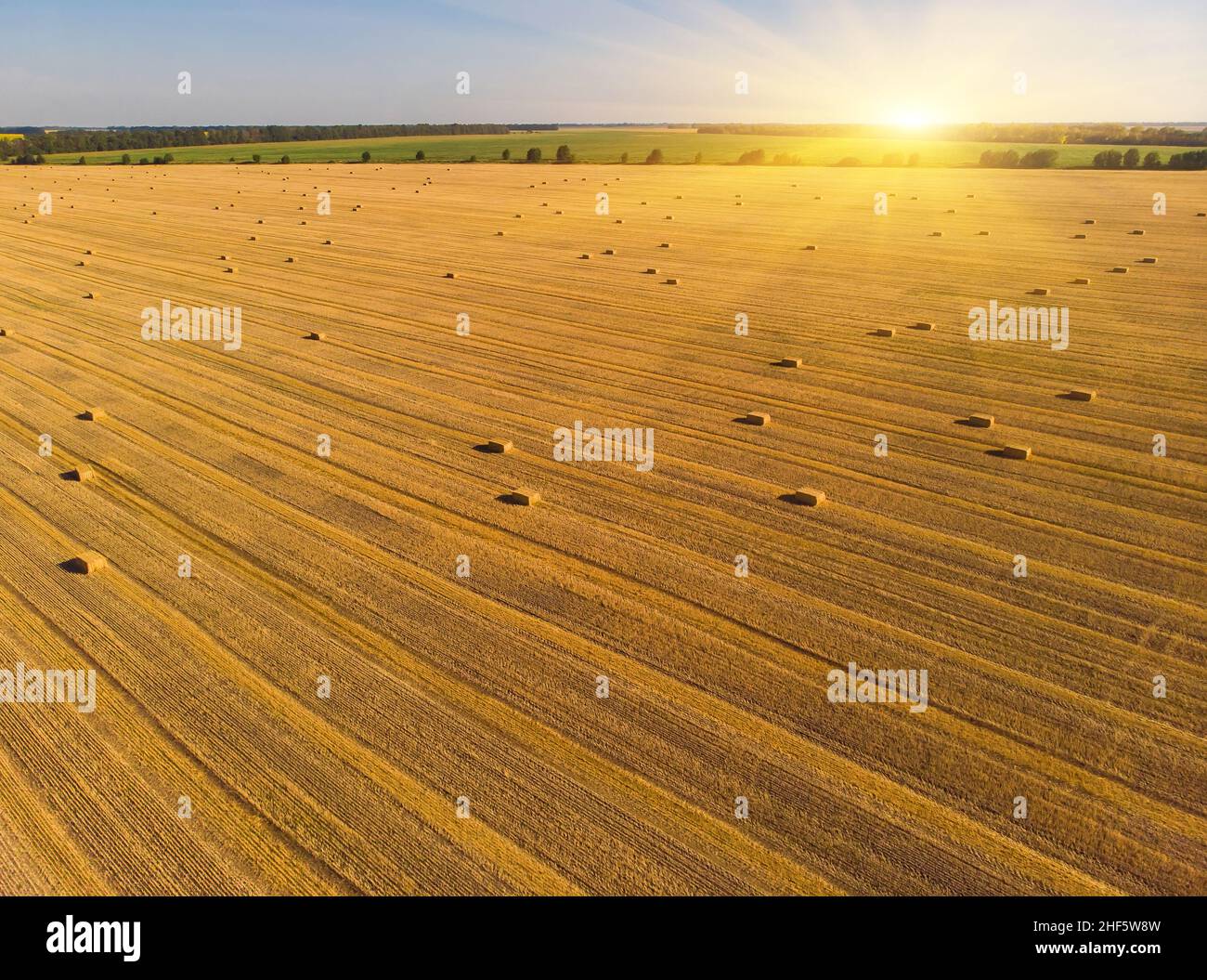 Aerial view of hay bales at sunset in summer. Top view of hay stacks ...