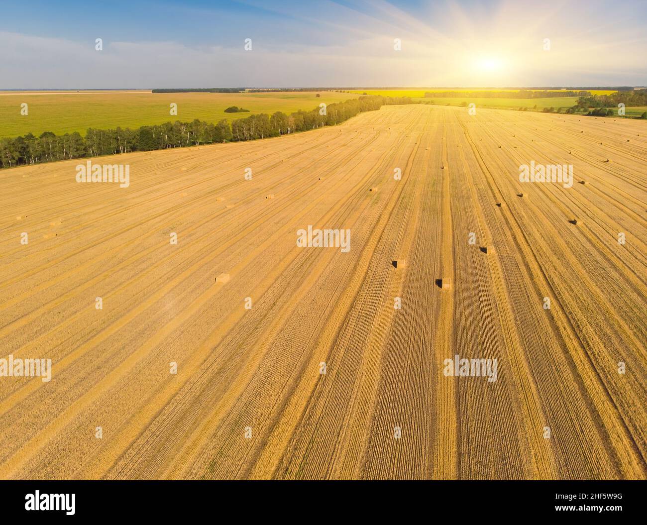 Aerial view of hay bales at sunset in summer. Top view of hay stacks ...
