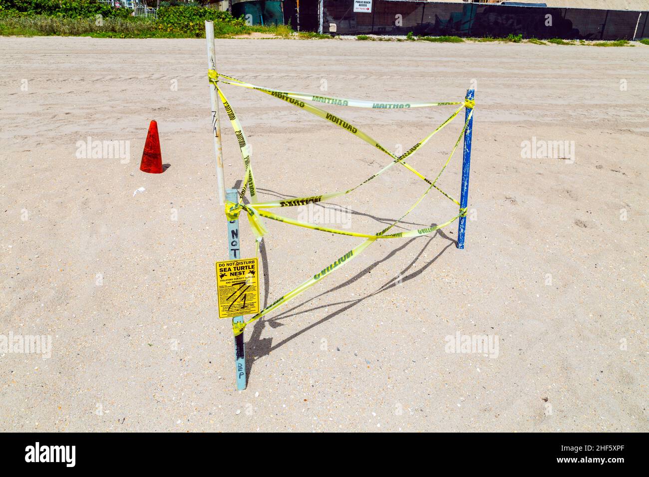 seaturtle net under the sand of the beach protected by a barrier Stock ...