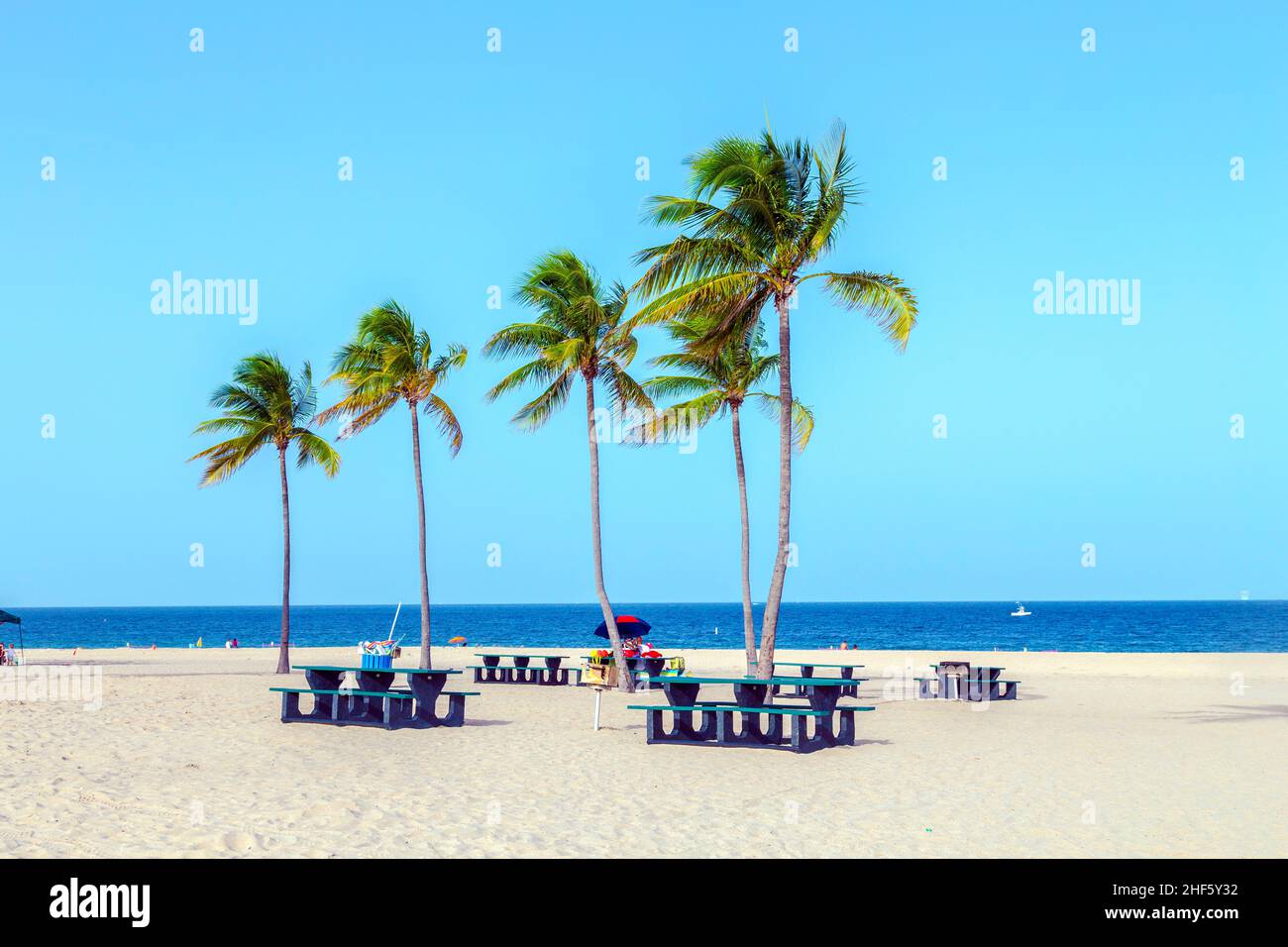 beautiful tropical Fort Lauderdale beach with coconut trees Stock Photo ...