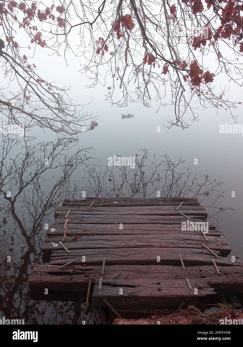 Katzensee zürich hi-res stock photography and images - Alamy