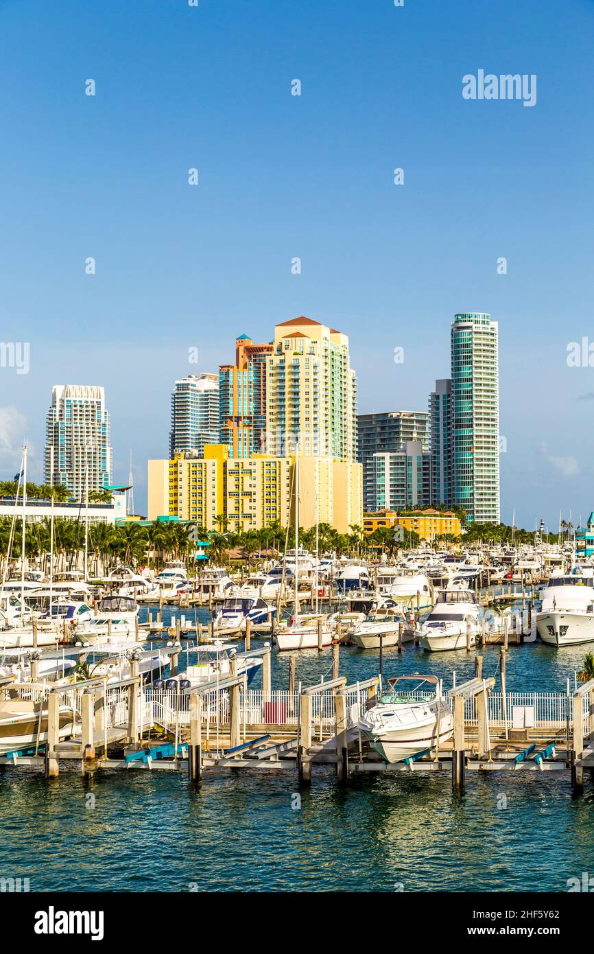 Miami south beach marina with skyline Stock Photo - Alamy