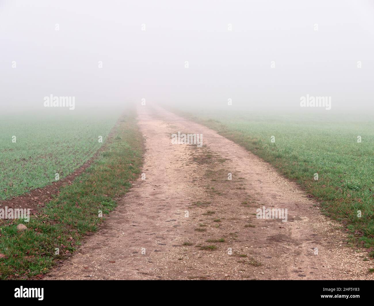 Misty rural landscape at Lake Katzensee in the canton of Zurich ...