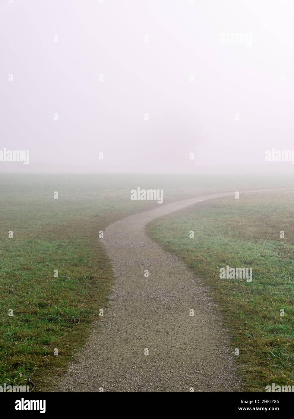 Misty landscape at Lake Katzensee in the canton of Zurich, Switzerland ...