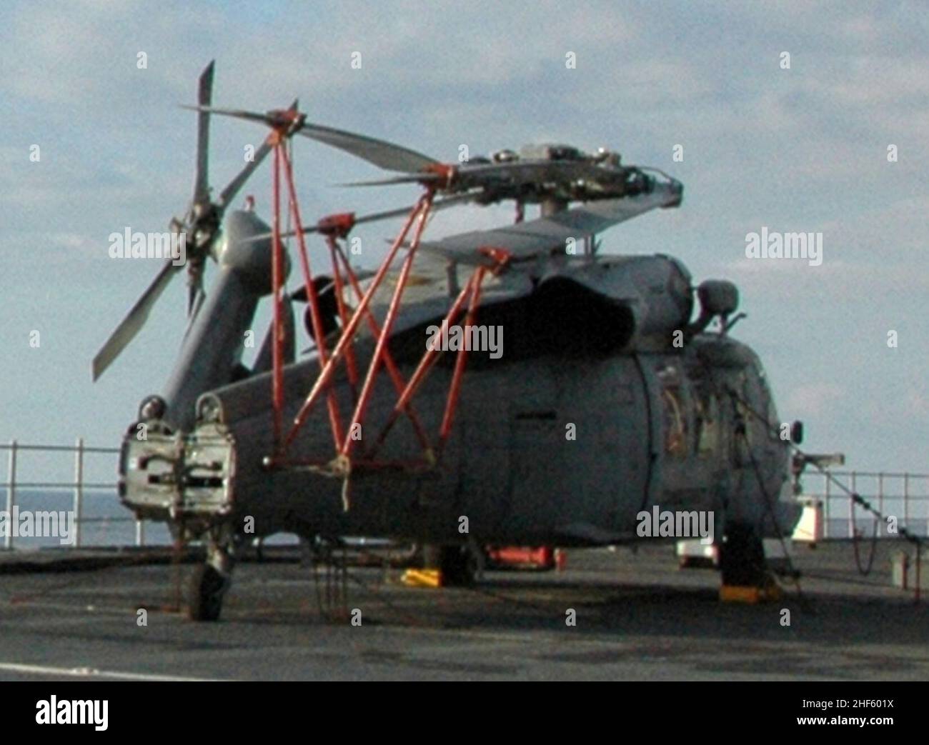 Seahawk with tail folded Stock Photo - Alamy