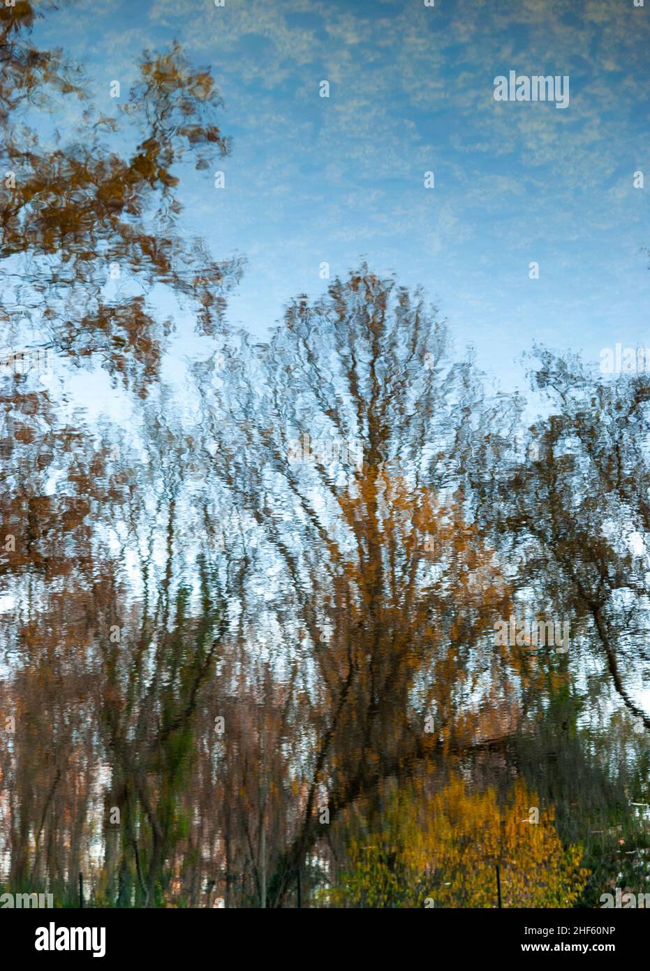 Reflection in water of tree and sky with painterly effect Stock Photo ...