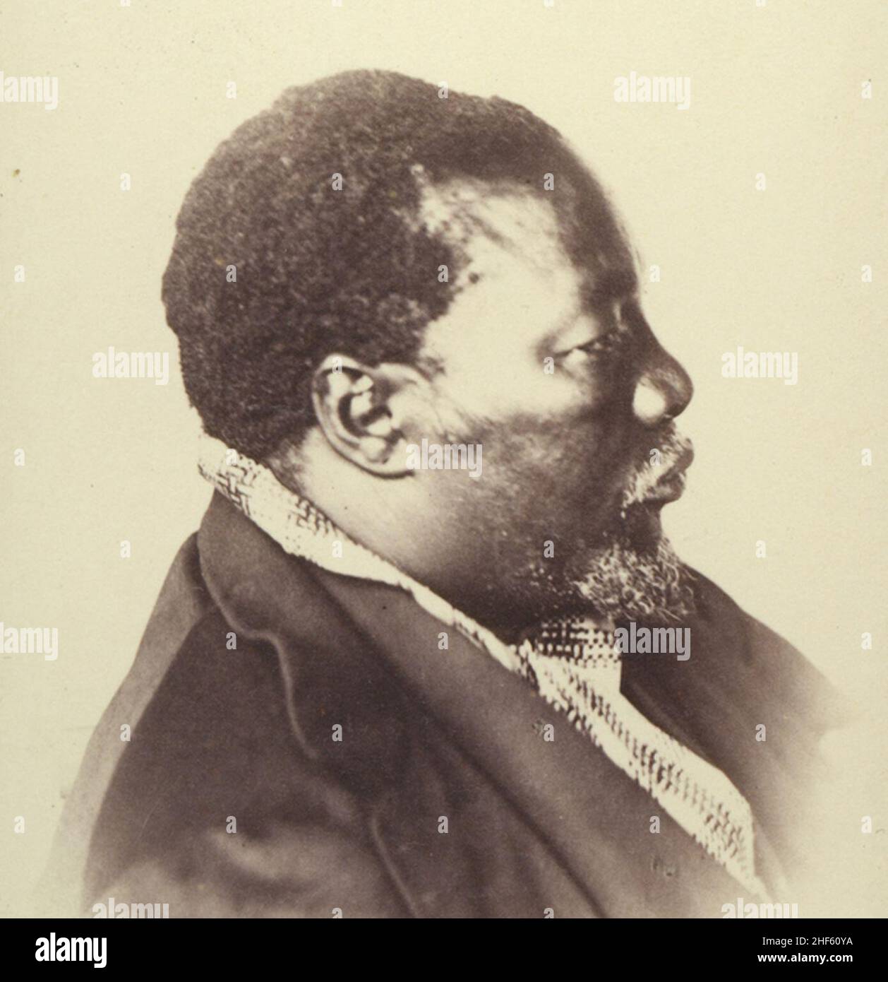 Gustav fritsch hi-res stock photography and images - Alamy