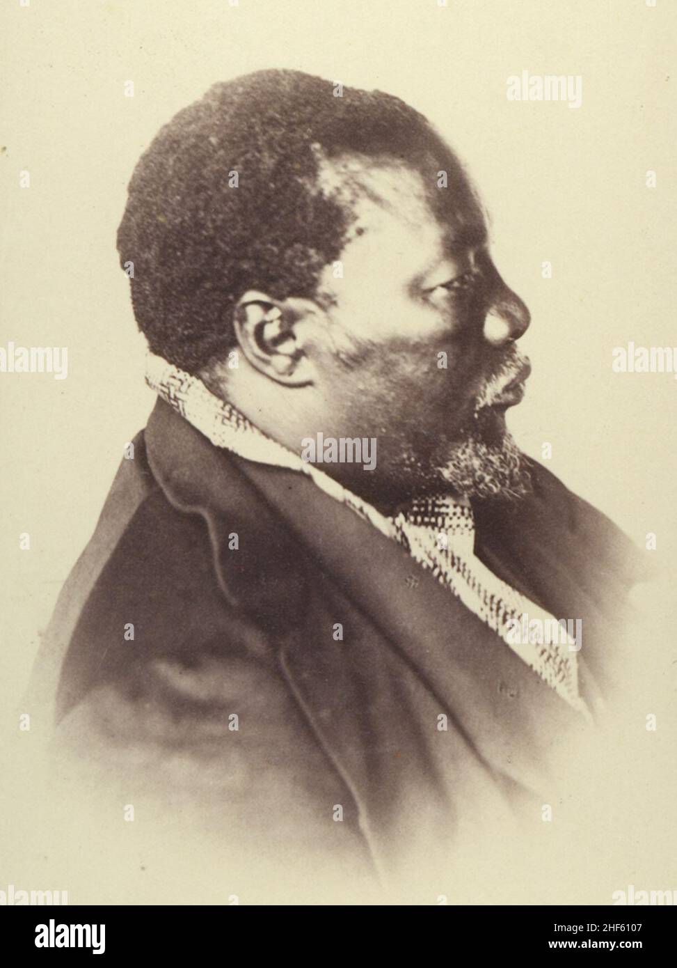 Gustav fritsch hi-res stock photography and images - Alamy