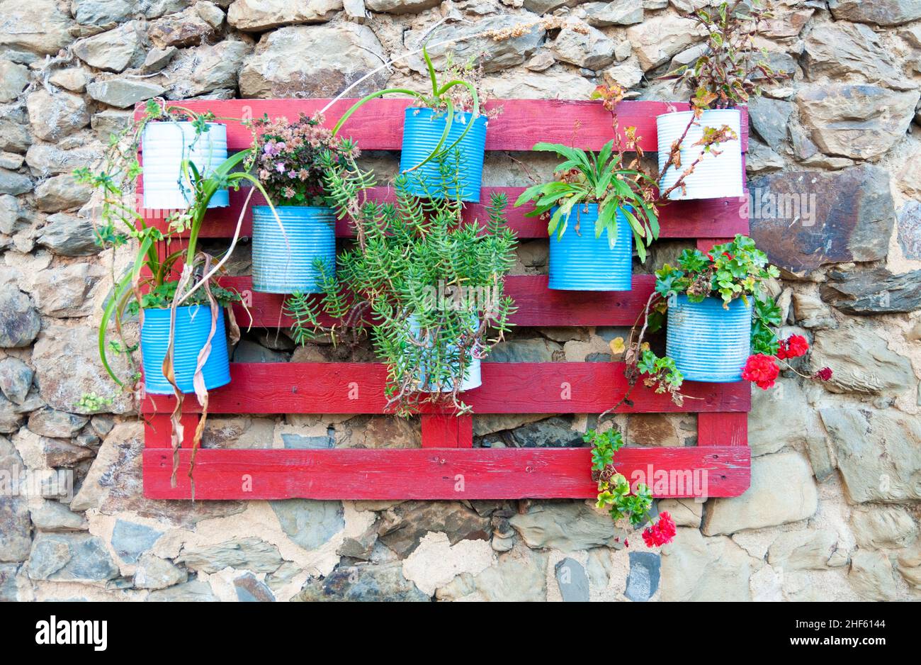 recycled wooden pallet used as a flowerpot, multicolor, rustic stone ...
