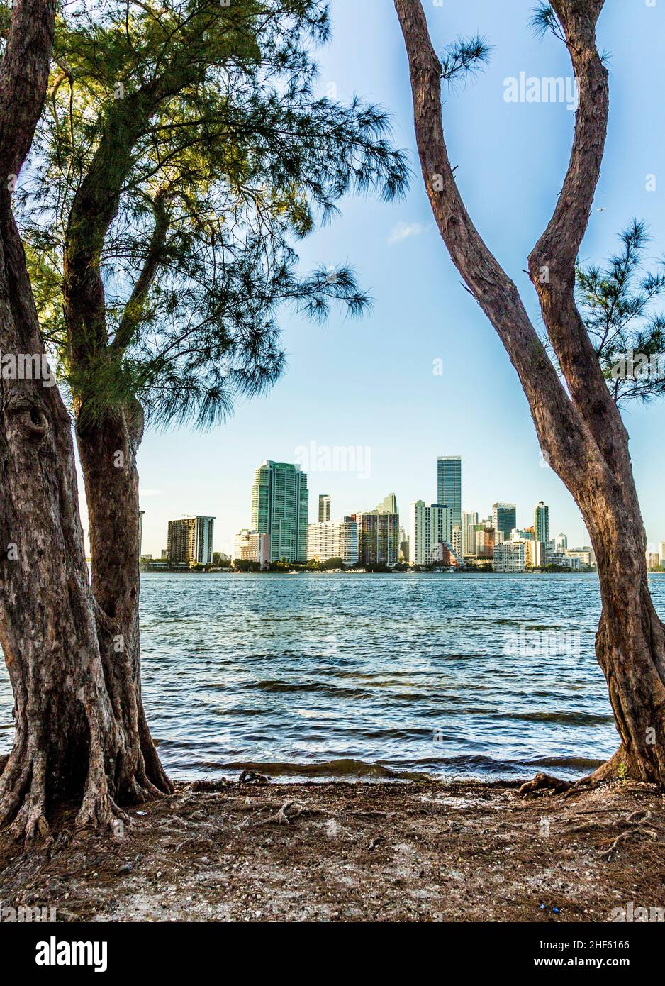 Miami bayfront hi-res stock photography and images - Alamy