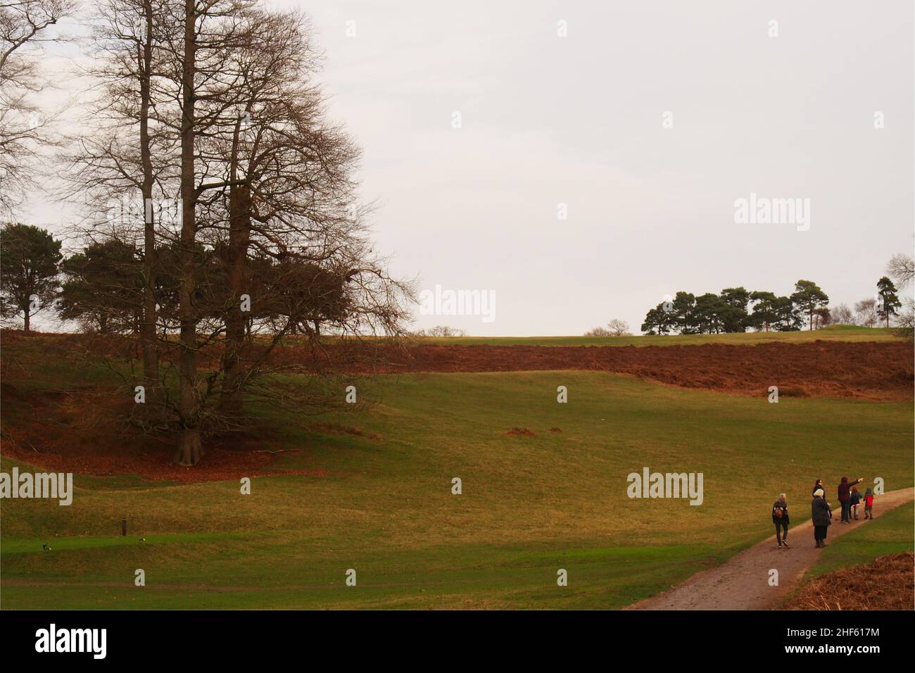 Dotted trees hi-res stock photography and images - Alamy