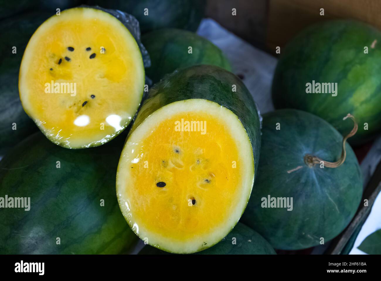 Yellow watermelon grows a lot in the tropics with dry soil conditions ...