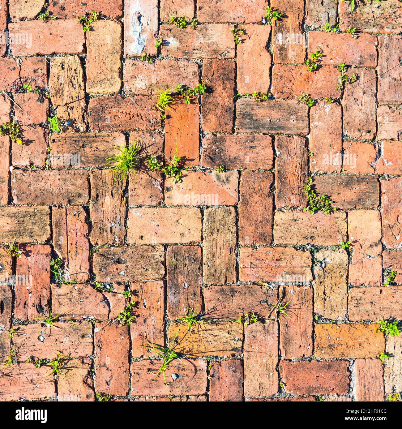 red brick floor background in harmonic pattern Stock Photo - Alamy