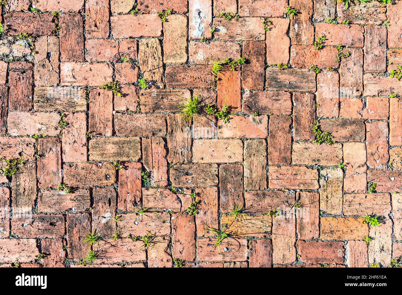 red brick floor background in harmonic pattern Stock Photo - Alamy