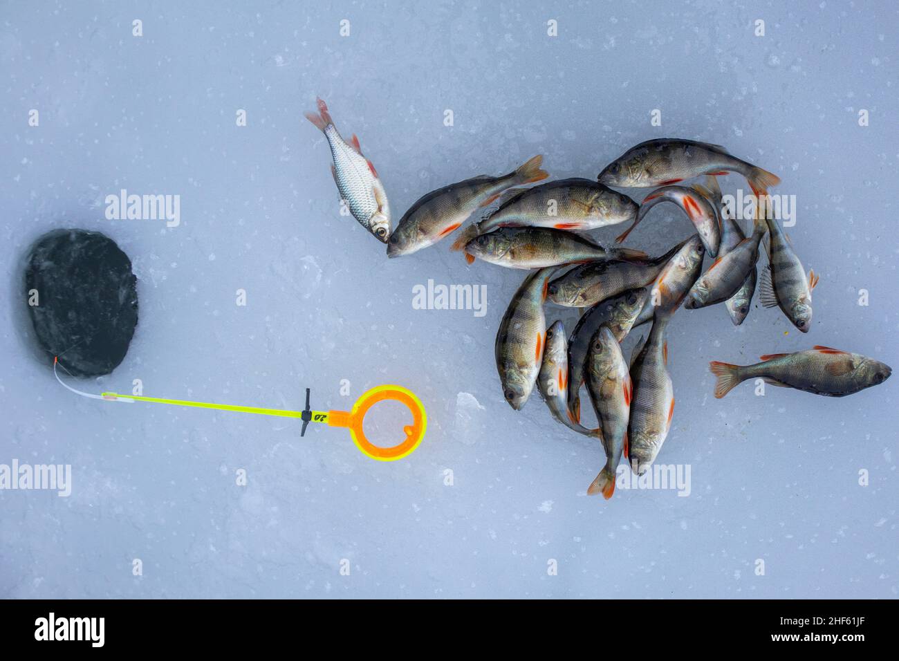 Reel it drill hi-res stock photography and images - Alamy