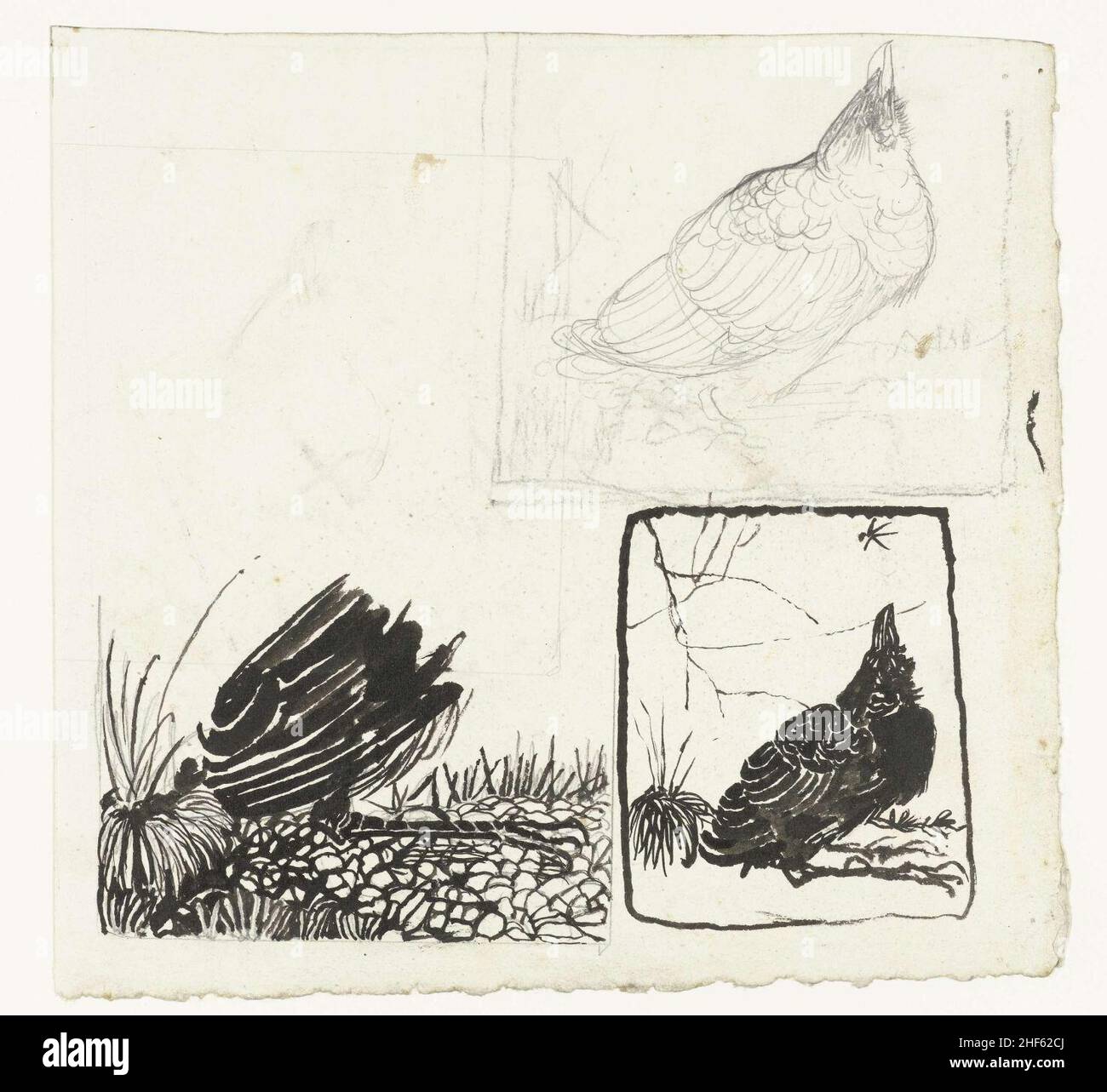 Schetsen van hi-res stock photography and images - Alamy