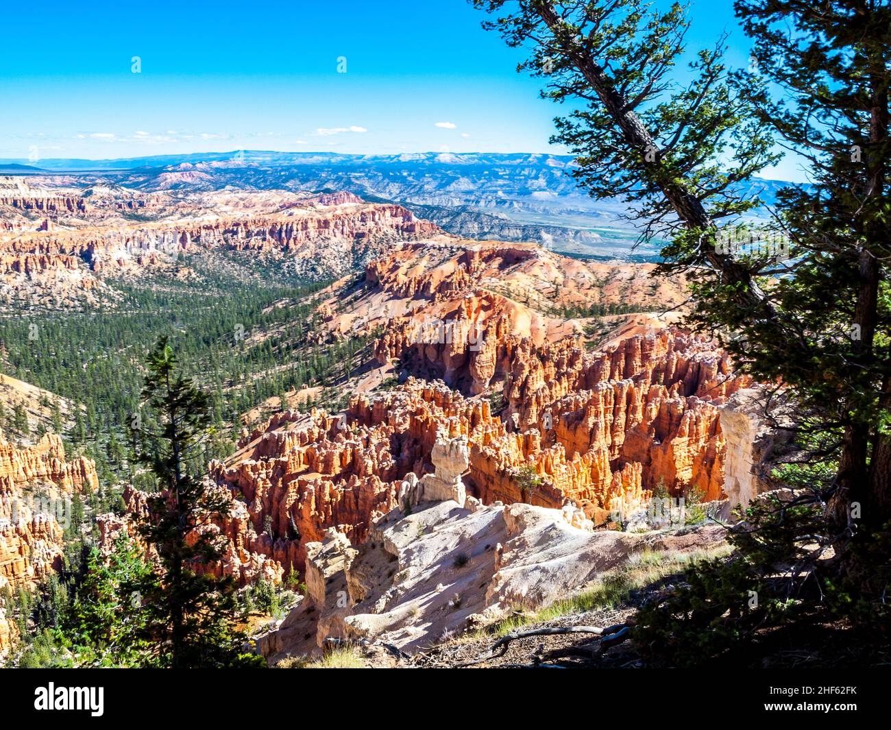 Great spires carved away by erosion in Bryce Canyon National Park, Utah ...