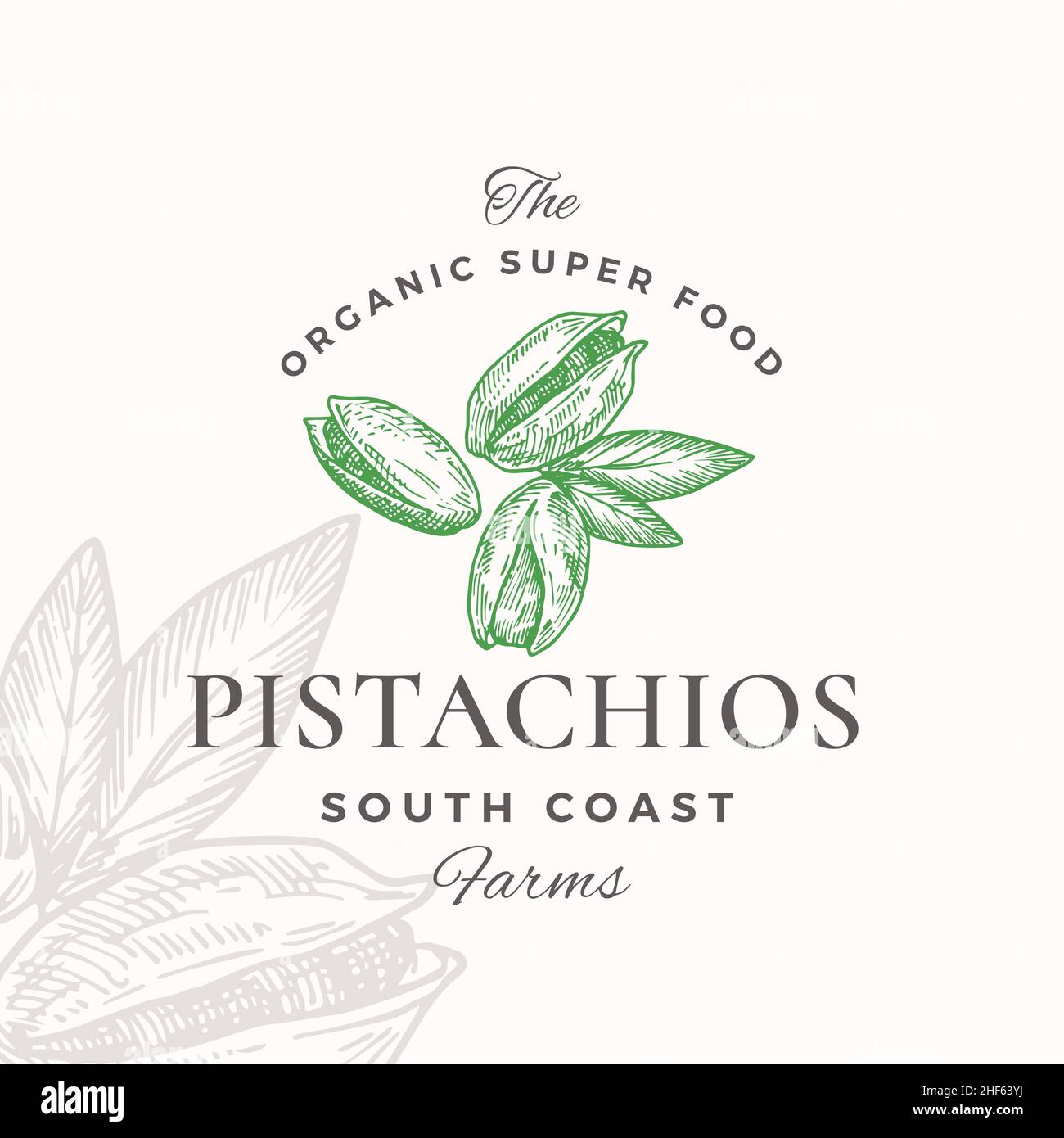 Pistachios Logo Template. Hand Drawn Nuts Sketch with Retro Typography ...