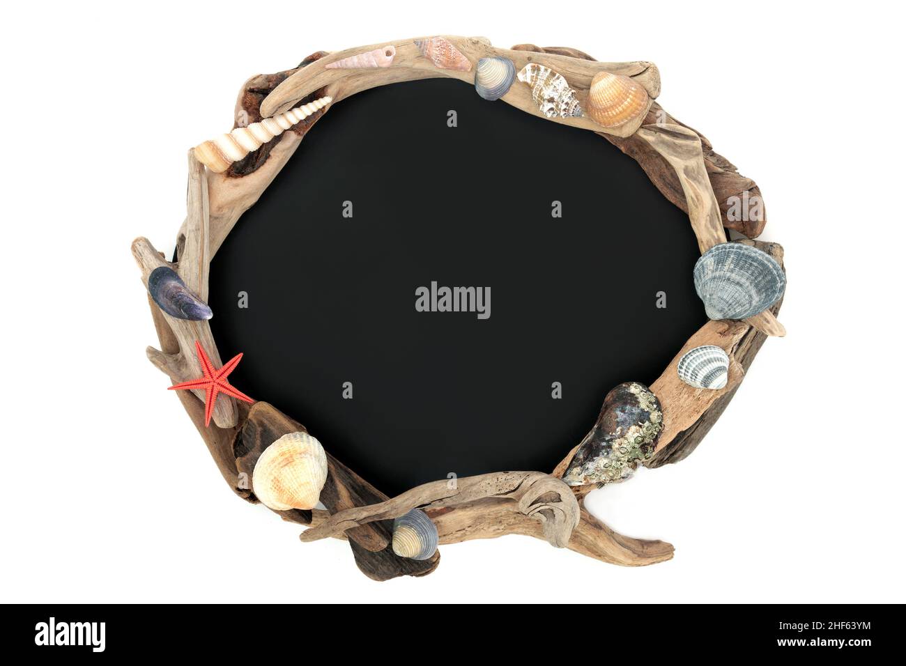 Driftwood and seashell abstract background border composition with ...