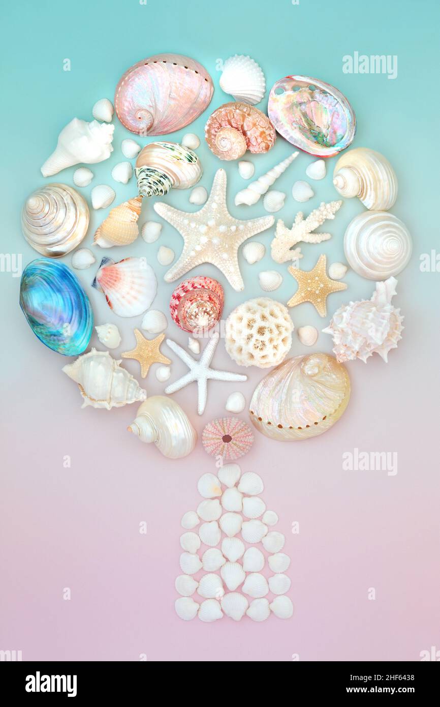 Abstract seashell tree concept shape with large collection of seashells ...
