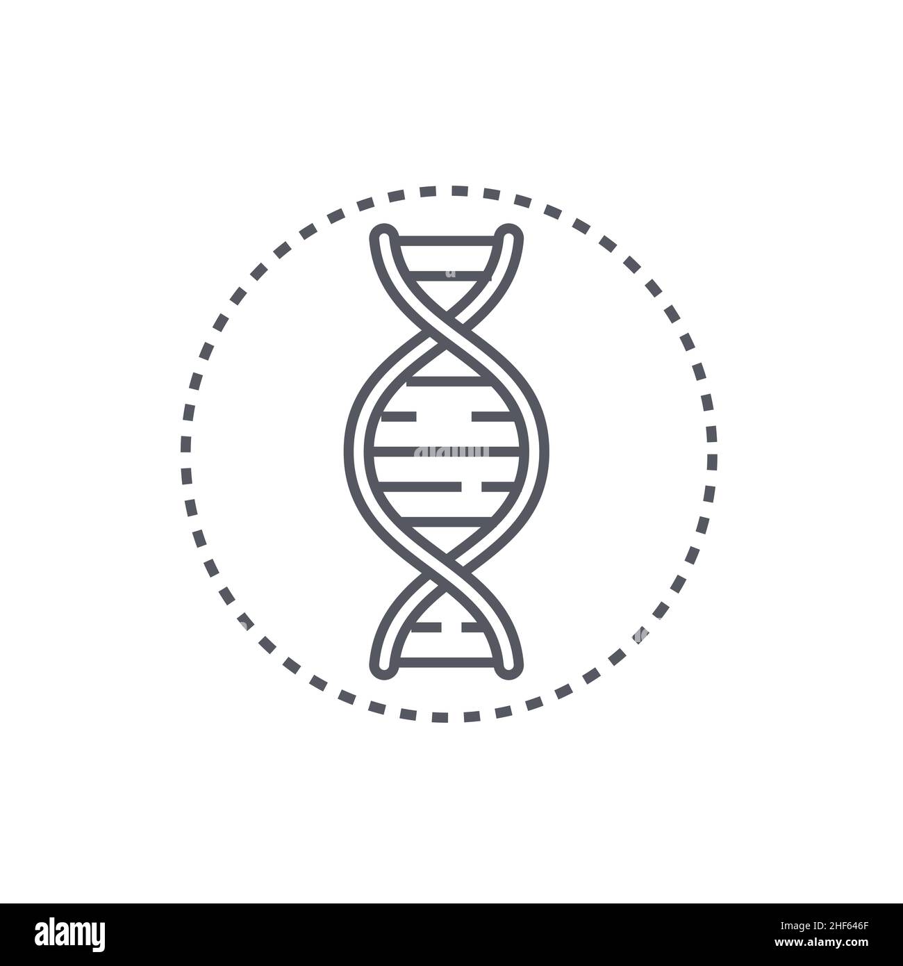 DNA chain - modern black line design style icon on white background ...