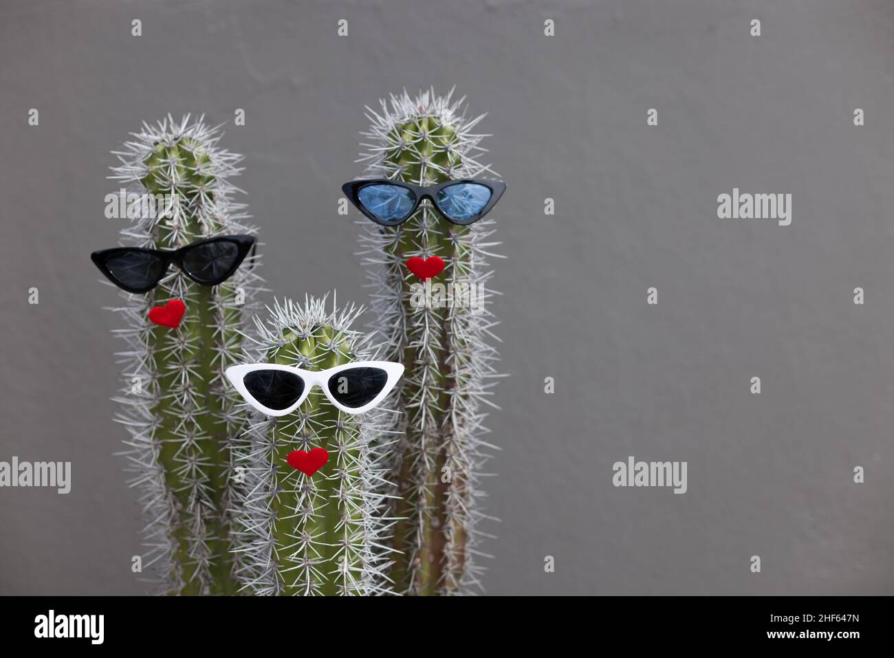 Fun and cool three cactuses wearing the sunglasses and with red lips ...