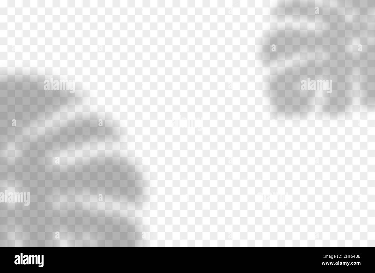 Vector shadow overlay of monstera palm leaves. Tropical stationery ...