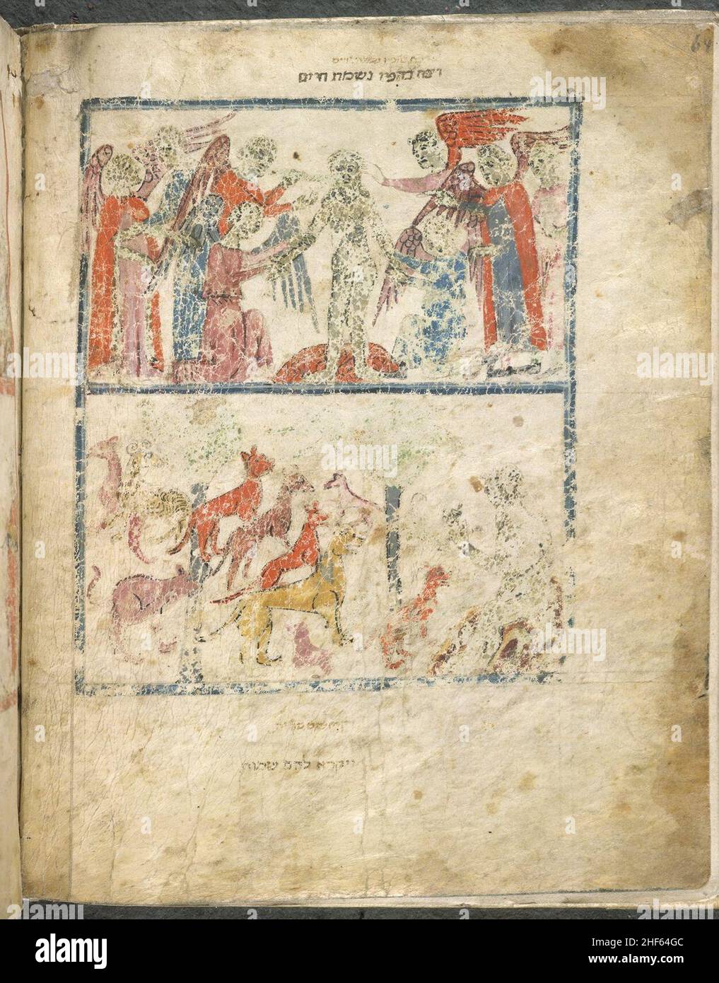 Adam f hi-res stock photography and images - Alamy