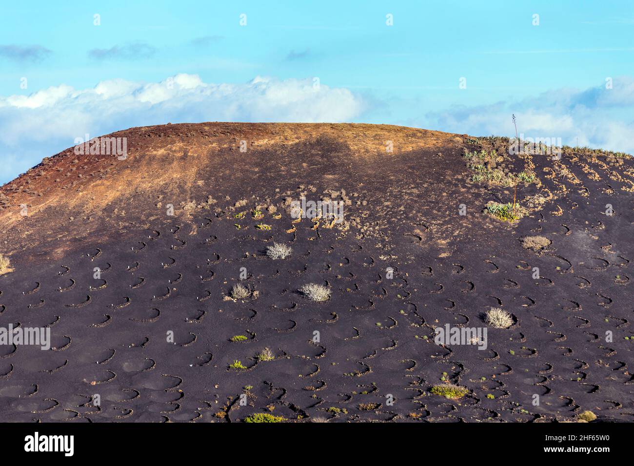 Famous la geria vineyard hi-res stock photography and images - Alamy