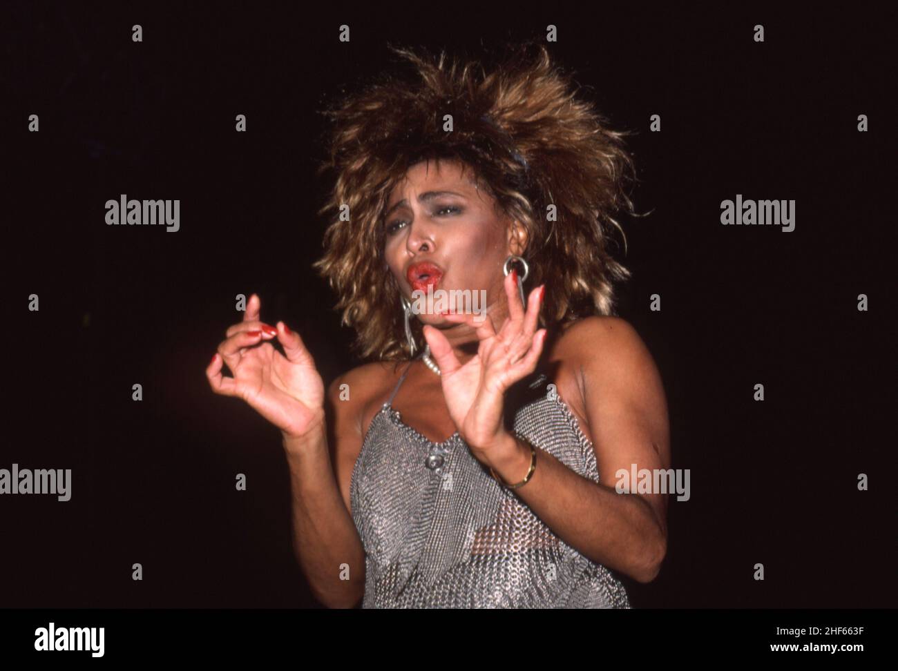 DETROIT - AUGUST 28: American-Swiss singer and actress, Tina Turner ...