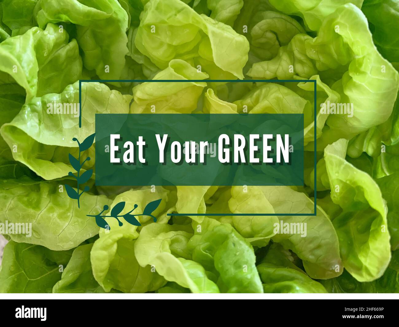 Eat your green text on an image with green salad background. Fitness ...