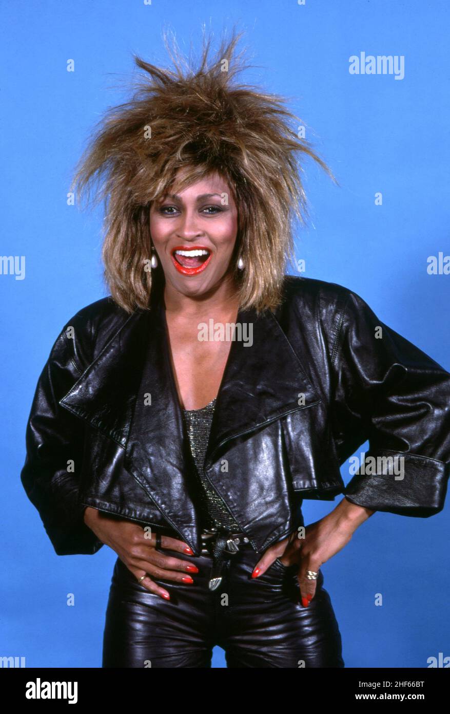 DETROIT - AUGUST 28: American-Swiss singer and actress, Tina Turner ...