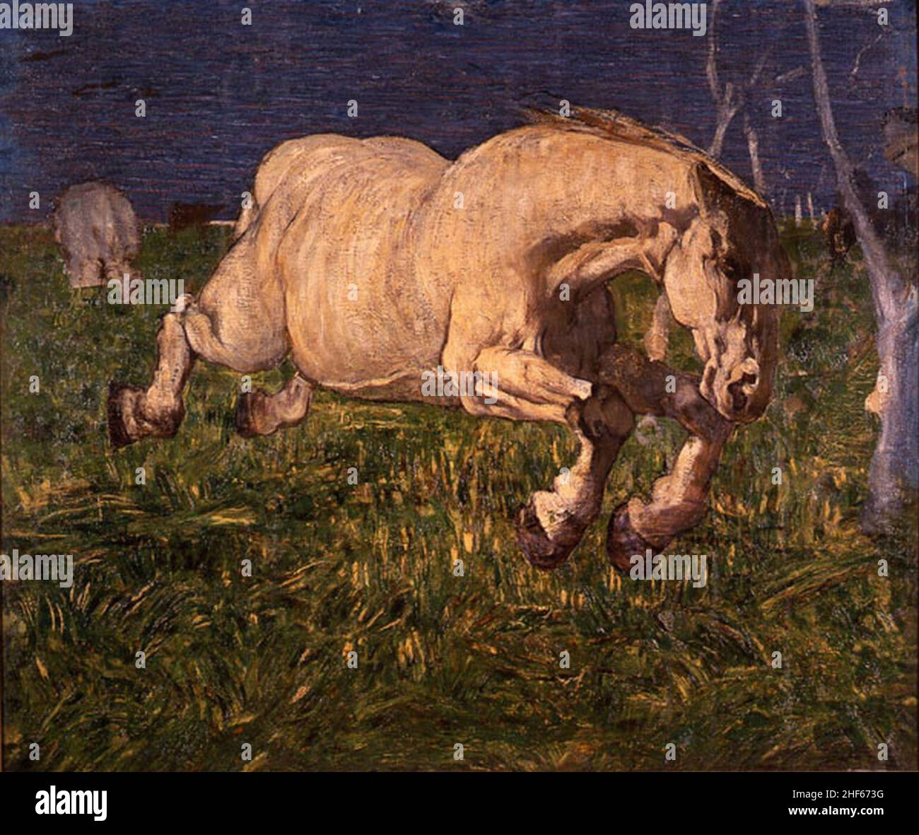 Galoppo hi-res stock photography and images - Alamy