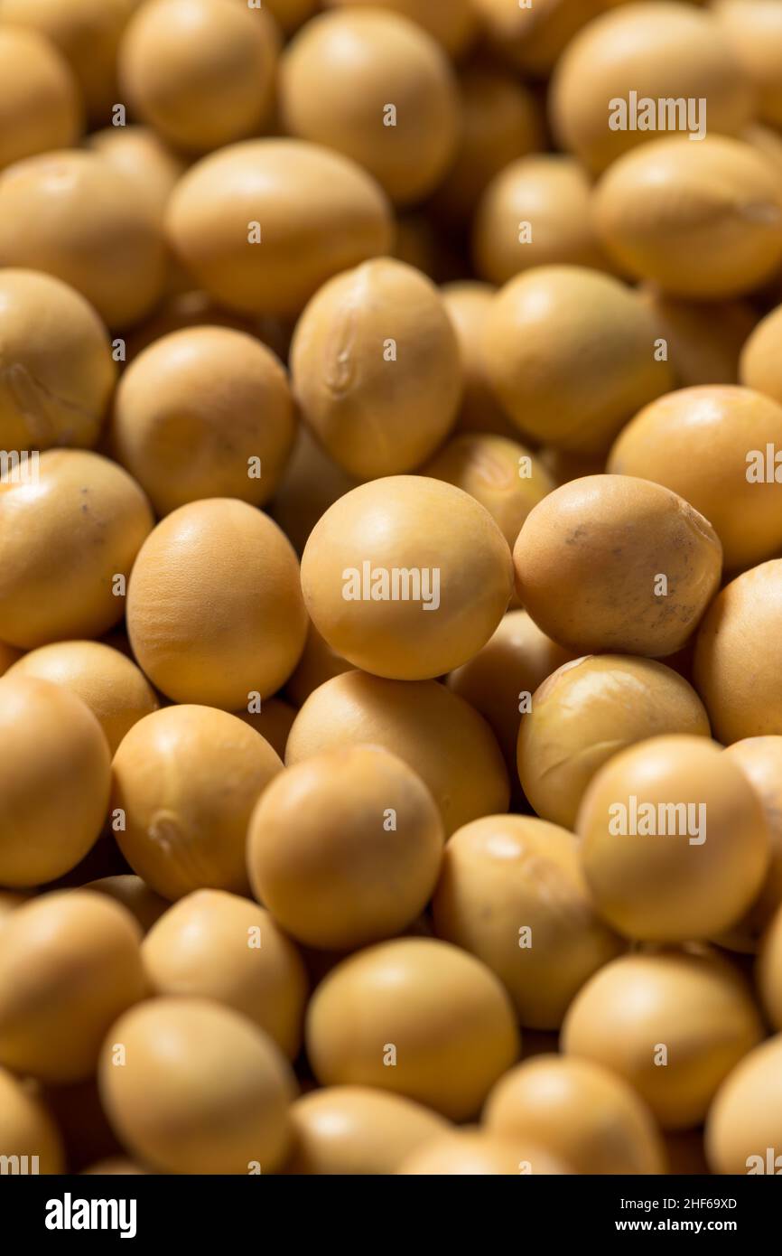 Dry Organic Soy Beans in a Bowl Stock Photo - Alamy