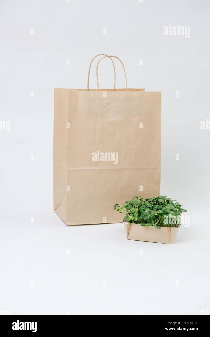 Empty brown paper bag and paper plant bed over white background. Eco ...