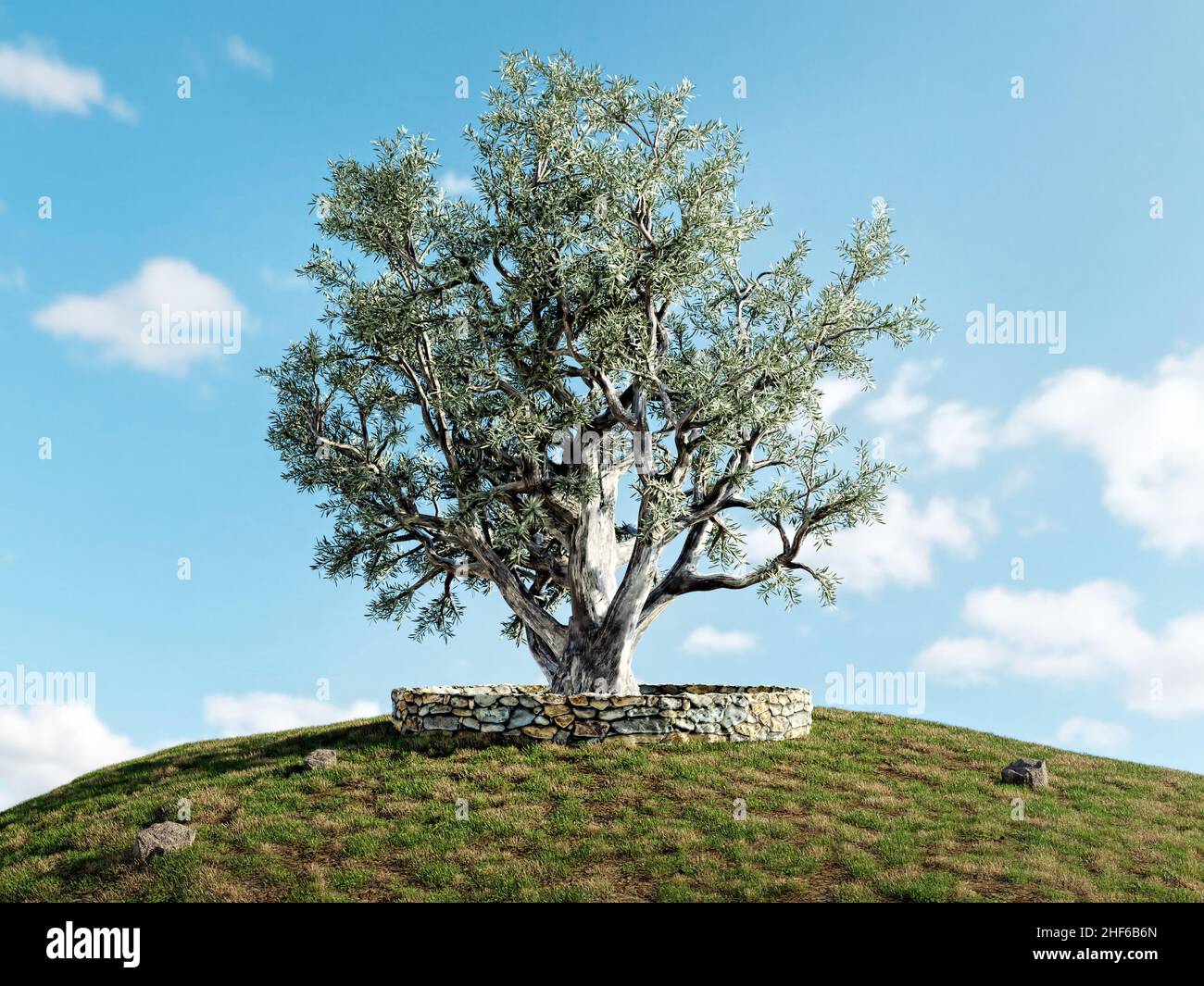 Green Og Leaves High Resolution Stock Photography and Images - Alamy