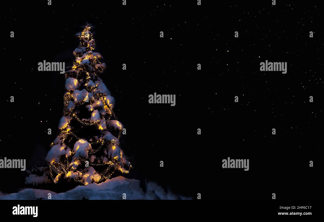 Dark tree snow hi-res stock photography and images - Alamy